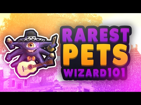 Wizard101 Pets: Rare Pets & Where To Find Them! Never Seen Before Pets!