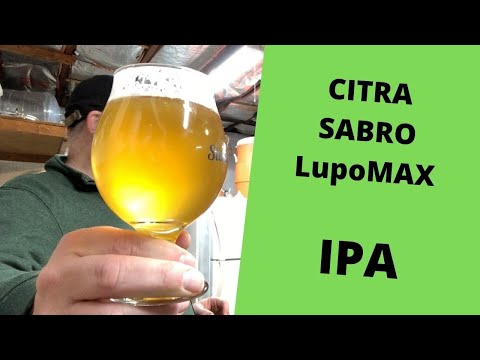 Driving Hop Aroma *No Dry Hopping* Citra & Sabro LUPOMAX IPA