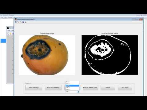 Back Propagation Neural Network Matlab Code Projects BPNN