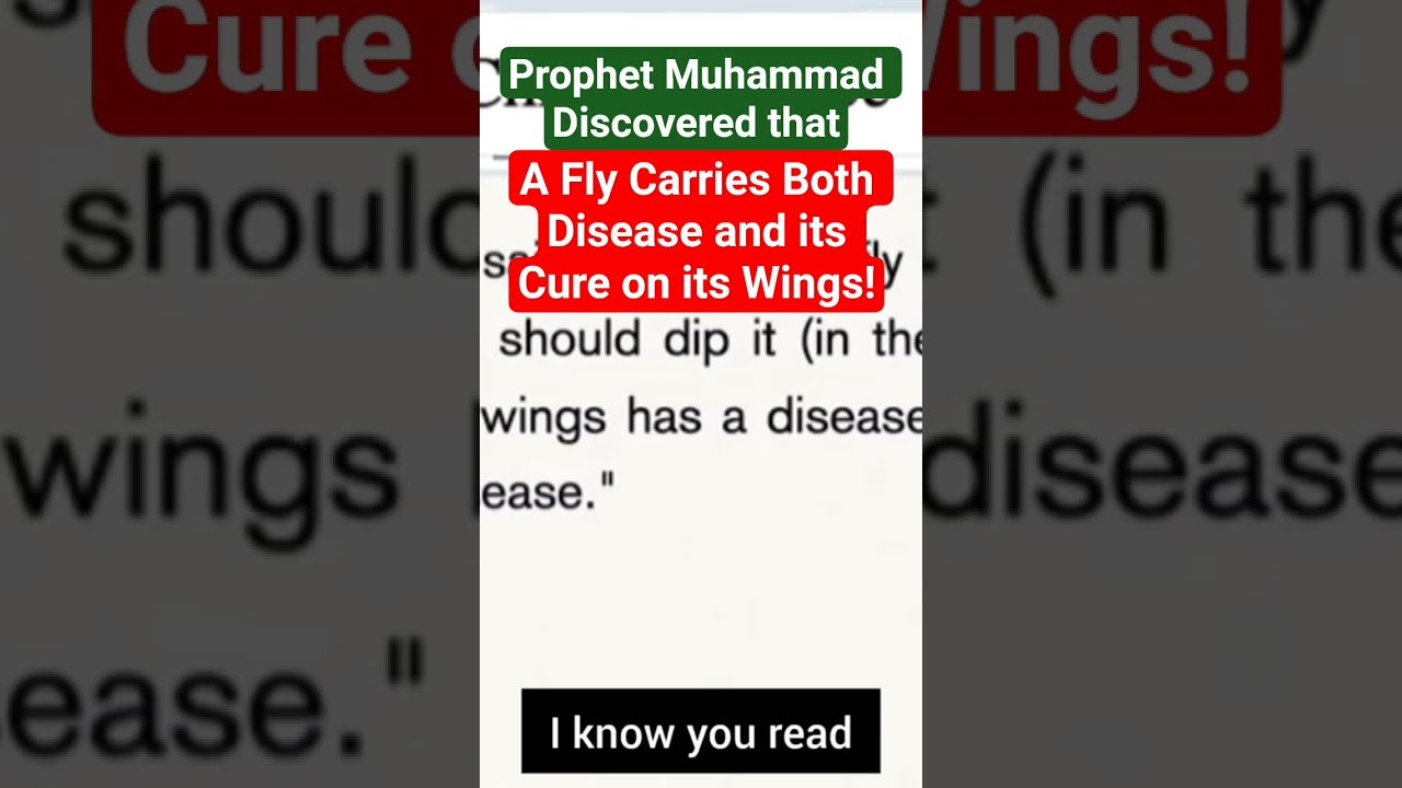 Prophet Muhammad Discovered that A Fly Carries Both Disease and its Cure on its Wings!