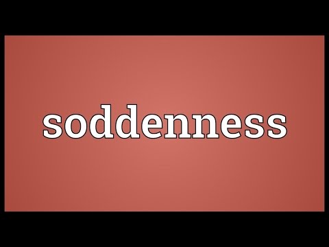 Soddenness Meaning