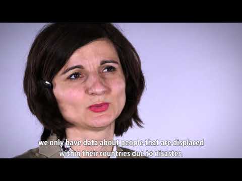 Migration data tells stories