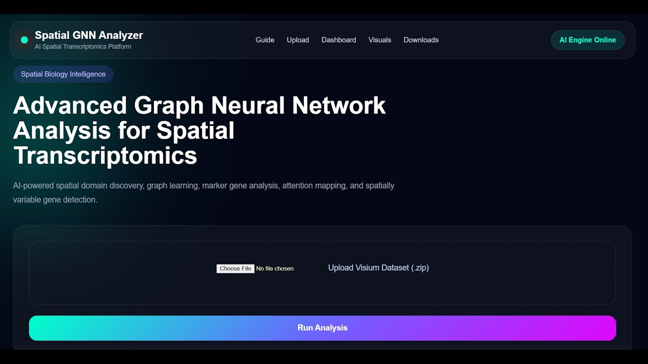 Tutorial for Advanced Graph Neural Network Analysis for Spatial Transcriptomics