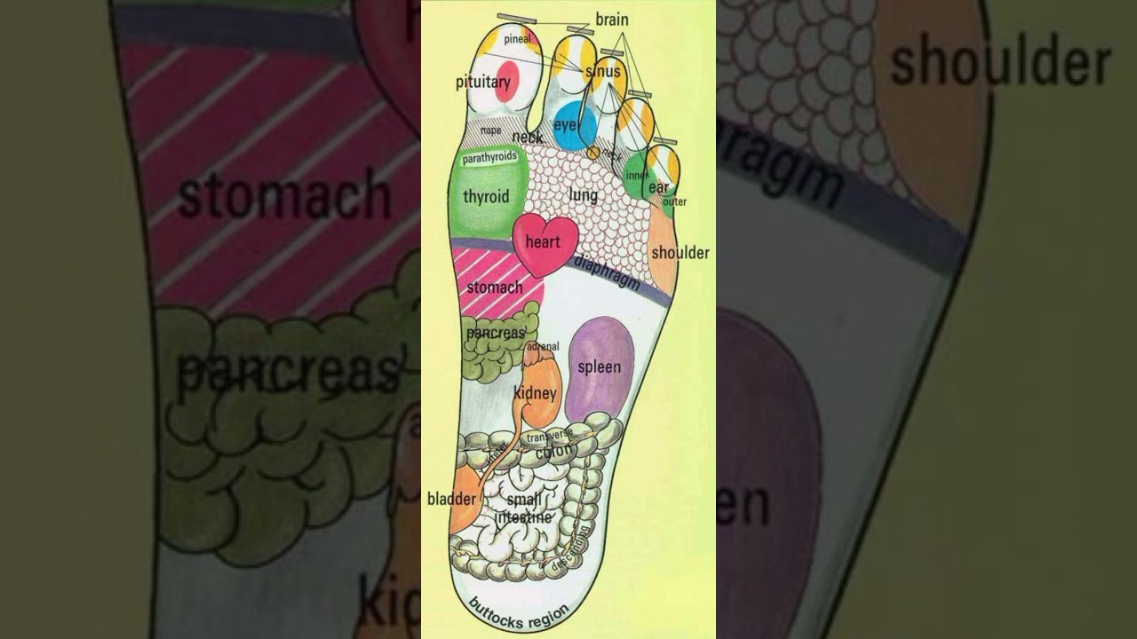 foot reflexology chart #health #bodypoint#healthtips