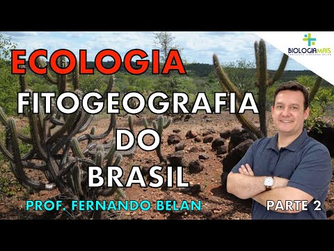BIOLOGIA MAIS - ECOLOGIA - FITOGEOGRAFIA DOS BRASIL - PARTE 2 - FERNANDO BELAN.