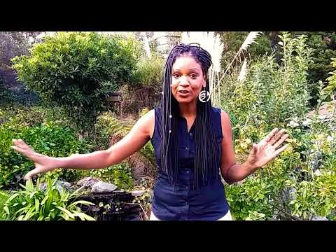 What is the Collective Conscious?