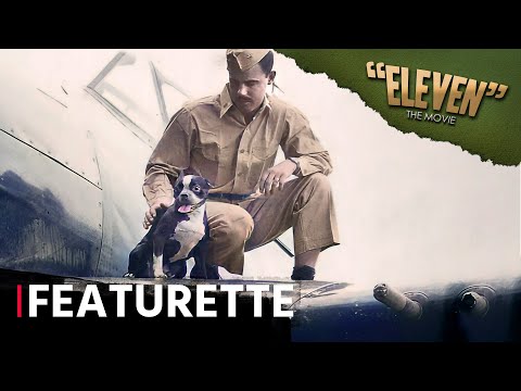 THE TERRIER AND THE HARE: The heartfelt WWII story about a dog and his pilot