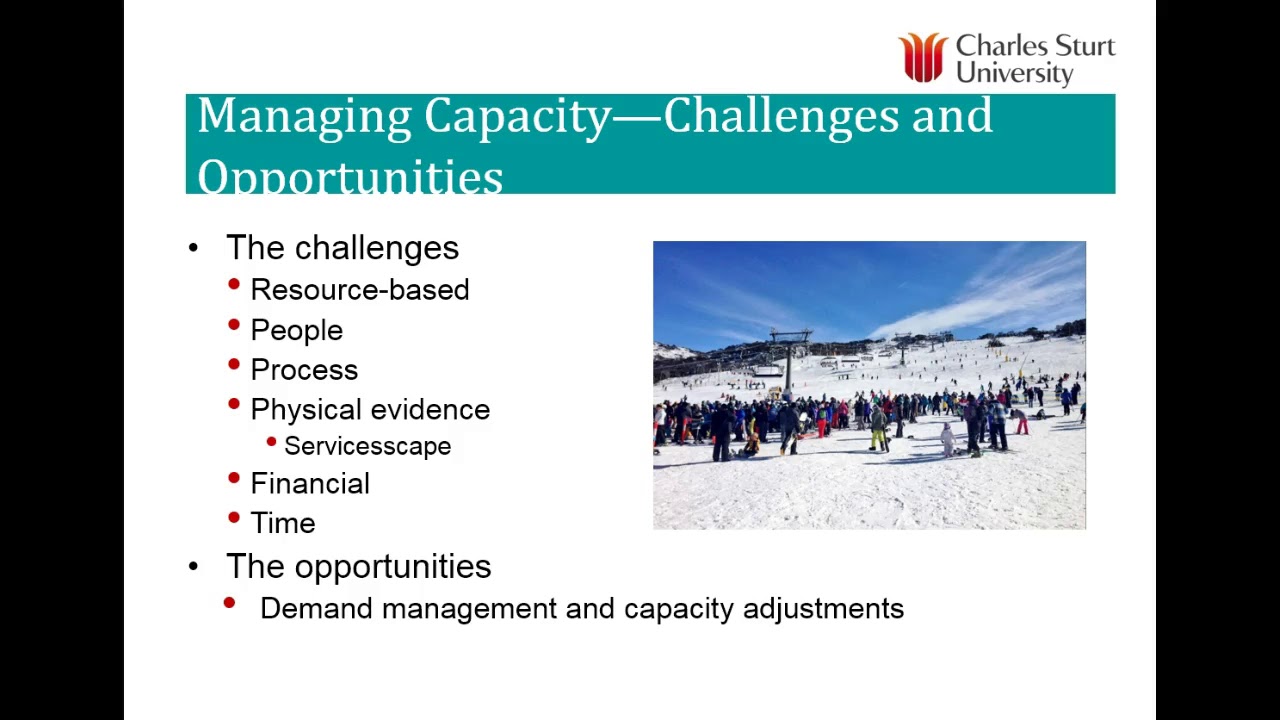 Lecture 9: Managing productive capacity and customer demand