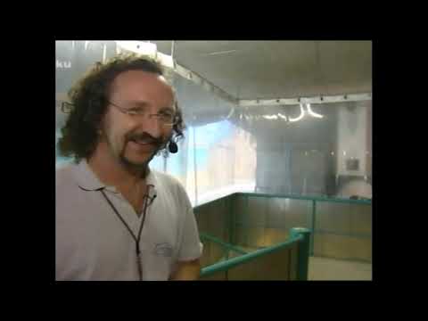 Duisburg Zoo, Ruhrpott Schnauzen, 5 (English subtitles)