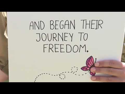 What is Freedom?
