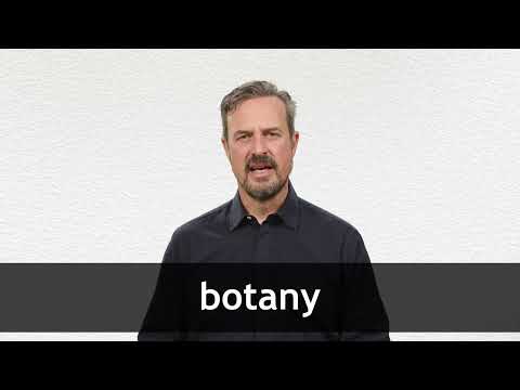 How to pronounce BOTANY in American English
