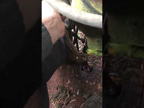 jcb 3c mk 1 restoration