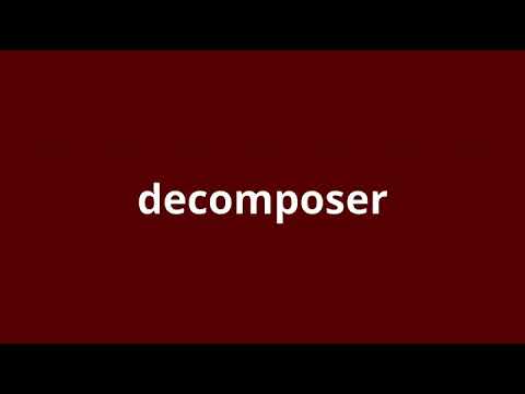 what is the meaning of decomposer.