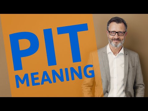 Pit | Meaning of pit