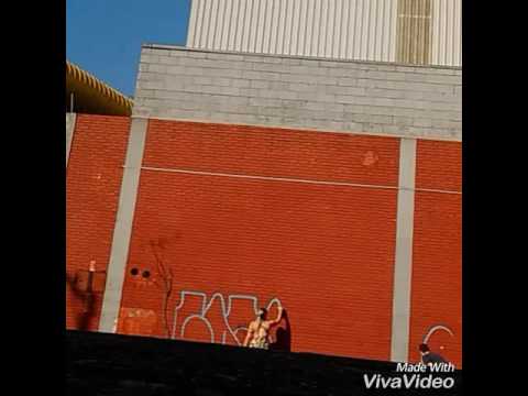 Graffiti Bombing - CAROL (Brasil) Daylight