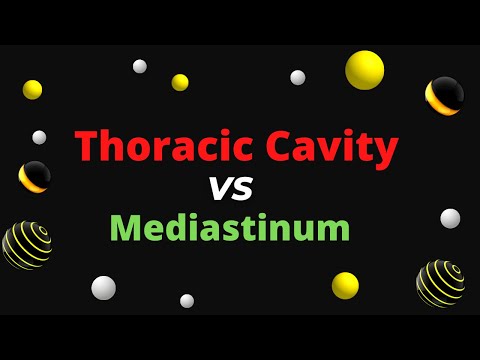 Thoracic cavity VS Mediastinum