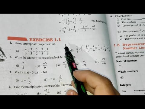 Rational Numbers Ex-1.1 Chapter- 1 || Class 8th Maths