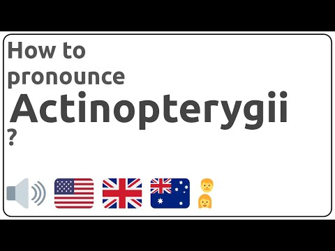How to pronounce Actinopterygii in english?