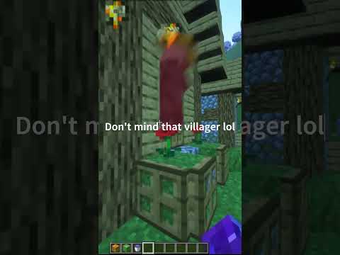 Rating shaders in minecraft java.