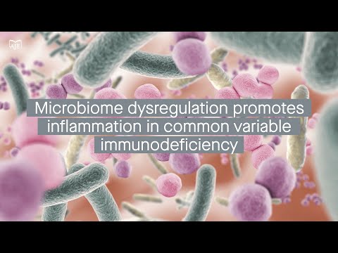 IgA deficiency drives microbiome dysregulation, increasing immune activation in CVID