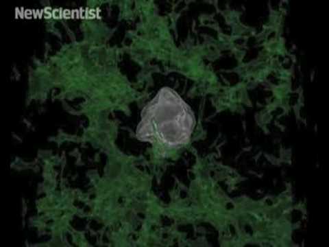 Universe's first stars bulk up in new simulation