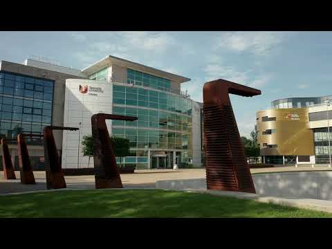 BA (Hons) Childhood Studies (Top-Up) (Online)