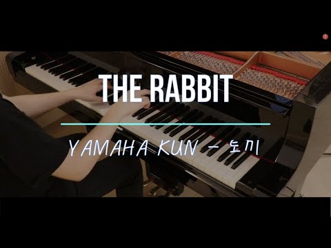 커뮤니티 > Yamaha Kun - The Rabbit / 야마하군 - 토끼