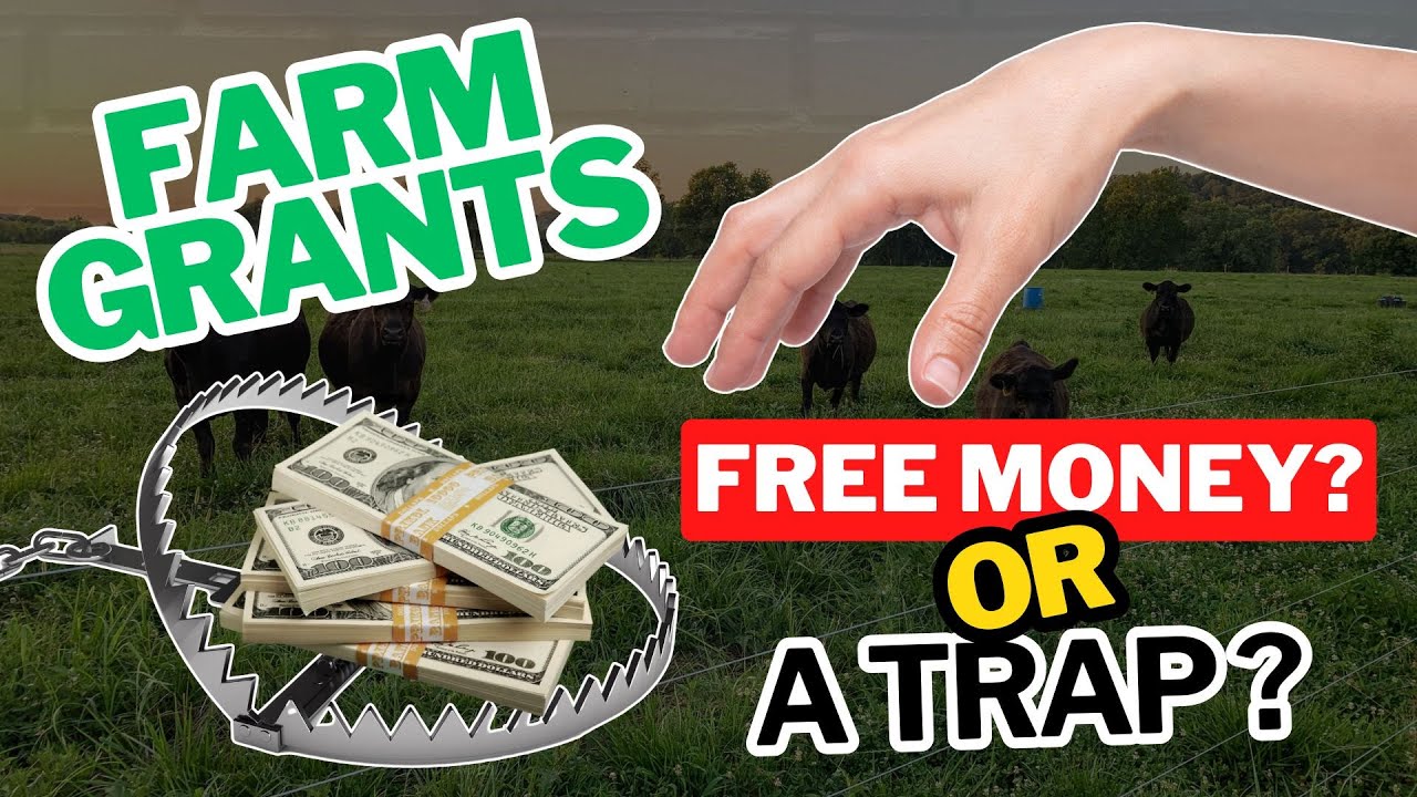 Farm Grants EXPLAINED: Smart Move or Bad Idea?