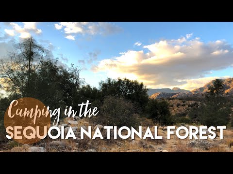 Camping in the Sequoia National Forest | Kern River