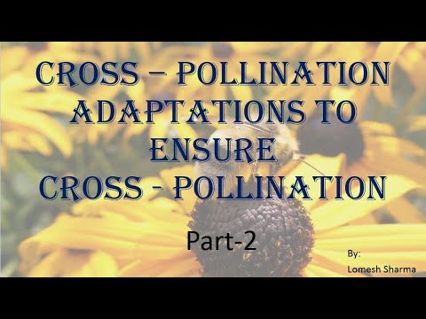 Cross Pollination Process: Adaptations to Ensure Cross-Pollination HPU BSc 2nd Year