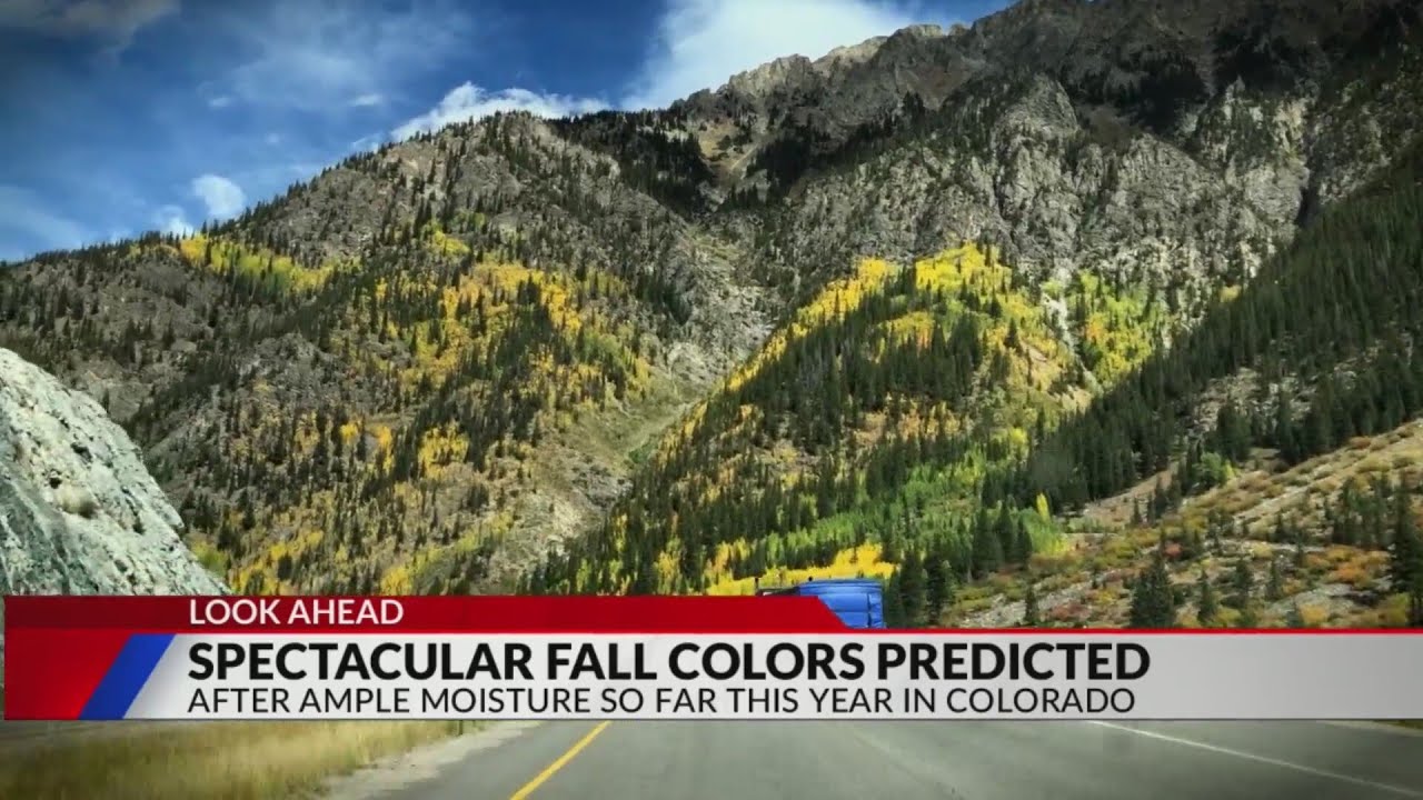 Fall leaves set to be more colorful than usual