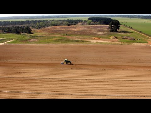 Tour Stop 4: Preparing Fields for Bare Root Pine Seed Planting