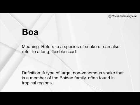 Boa Meaning