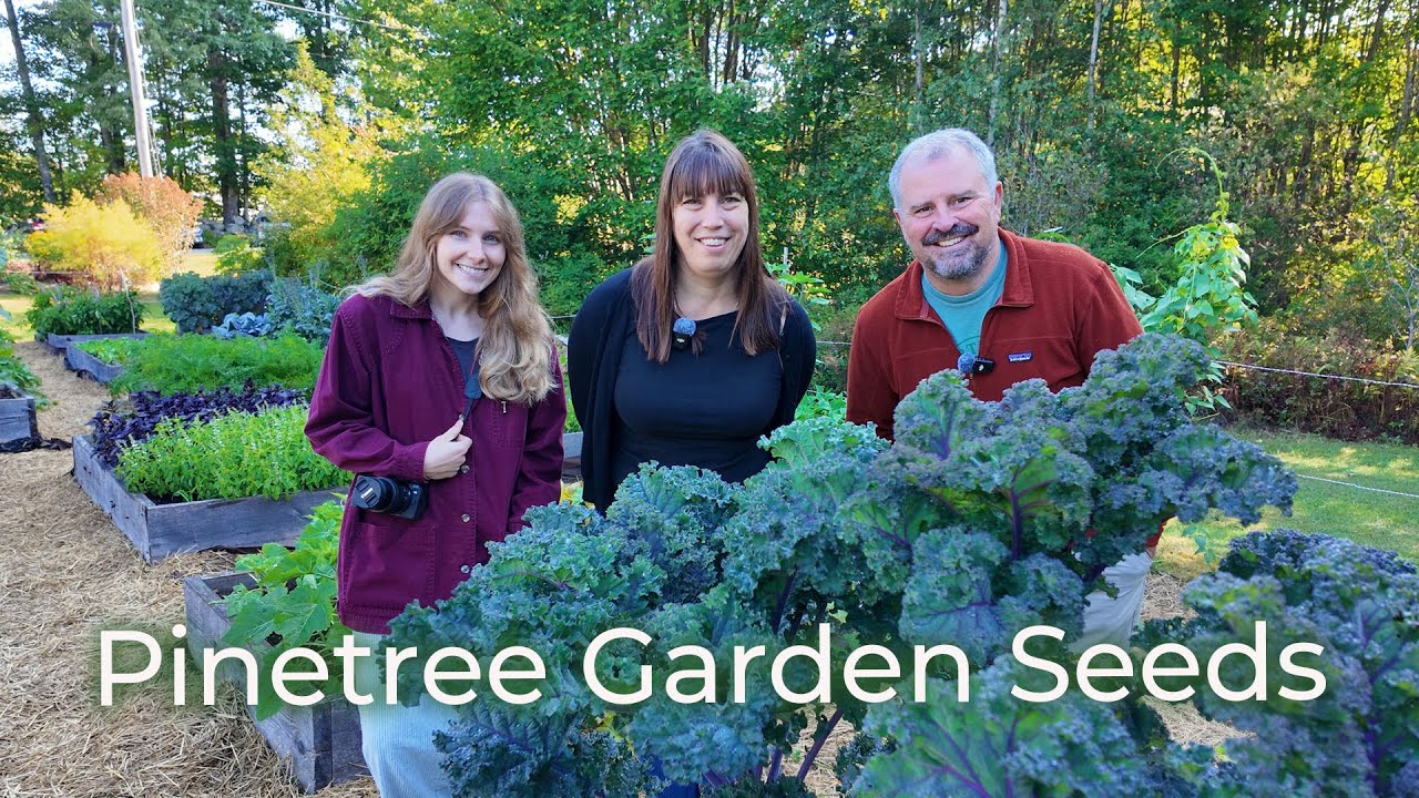 Inside Pinetree Garden Seeds | A Gardener’s Dream Stop