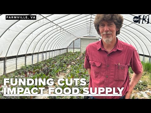 FACES Food Pantry in need of funds after federal cuts impact food supply