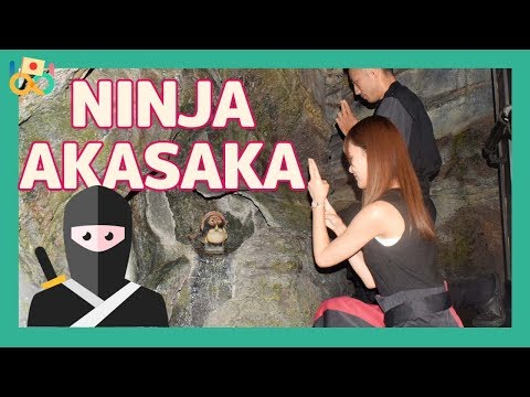 NINJA AKASAKA, Japanese Ninja restaurant in Tokyo