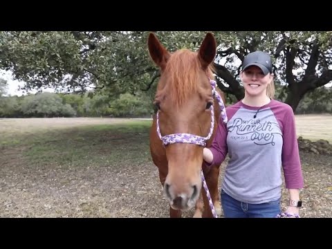Rodeo Spotlight: Diamond C Stables offers lessons for all ages | SA Live | KSAT 12