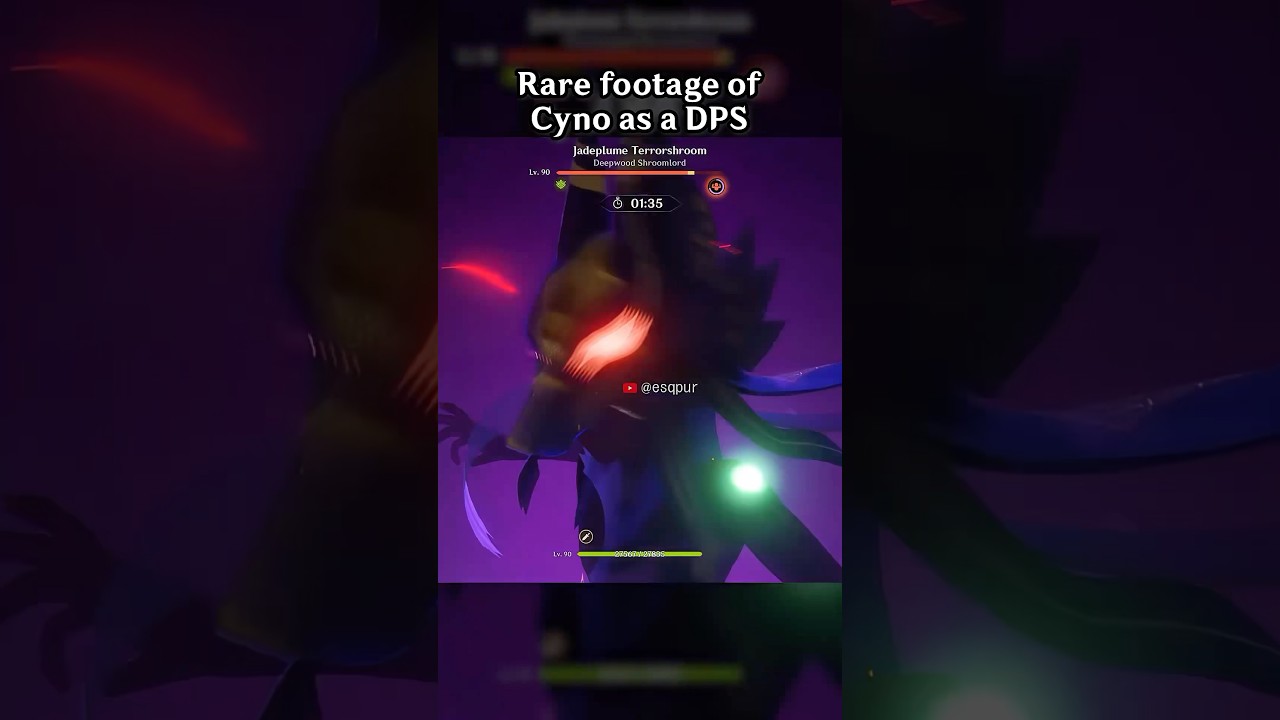 Rare Footage of Cyno As a DPS
