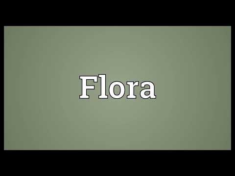 Flora Meaning