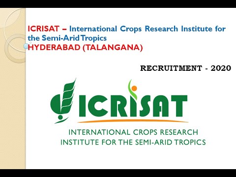 icrisat job may 2020