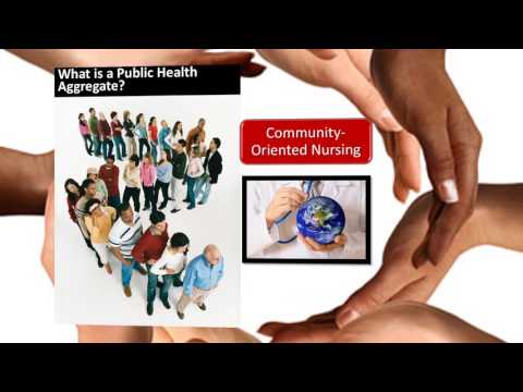 What is Public Health Nursing