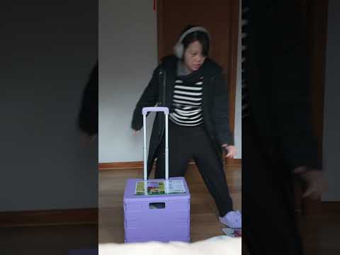 Kmart finds lilac collapsible cart 💜the colour is so cute and cosy. Do I look like a granny?!🤔👵🏼