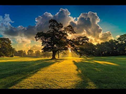 Pensées Pour Moi Même Avec Marc Aurèle Dandanjean