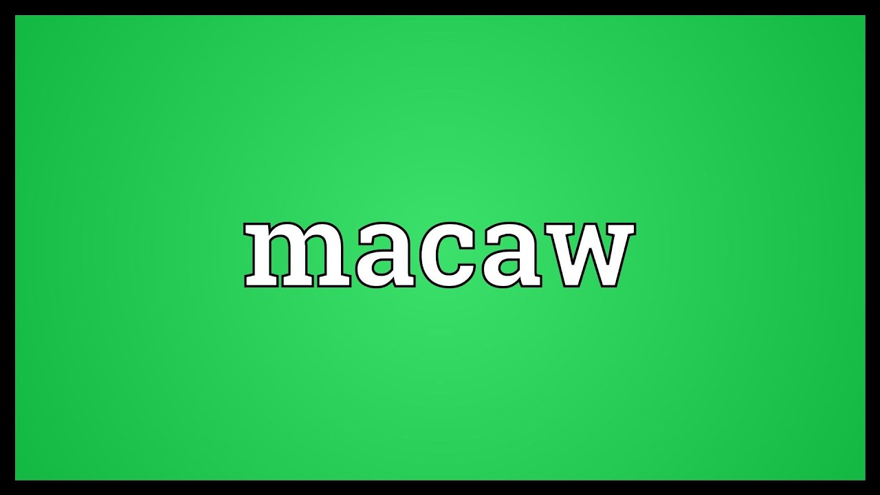 Macaw Meaning