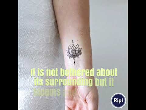 According the Hinduism  lotus flower meaning is associated with beauty, fertility, prosperity, spir…