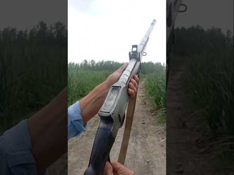 GP Martini Shotgun A Piece of History Greener's Masterpiece | Classic British Shotgun Greener Gp