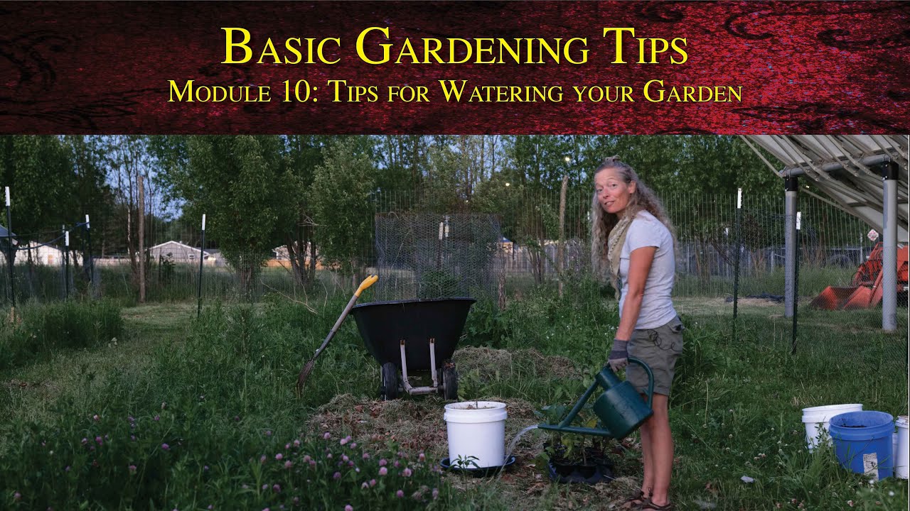 Basic Gardening Tips – Module 10: Tips for Watering your Garden – SLC ...