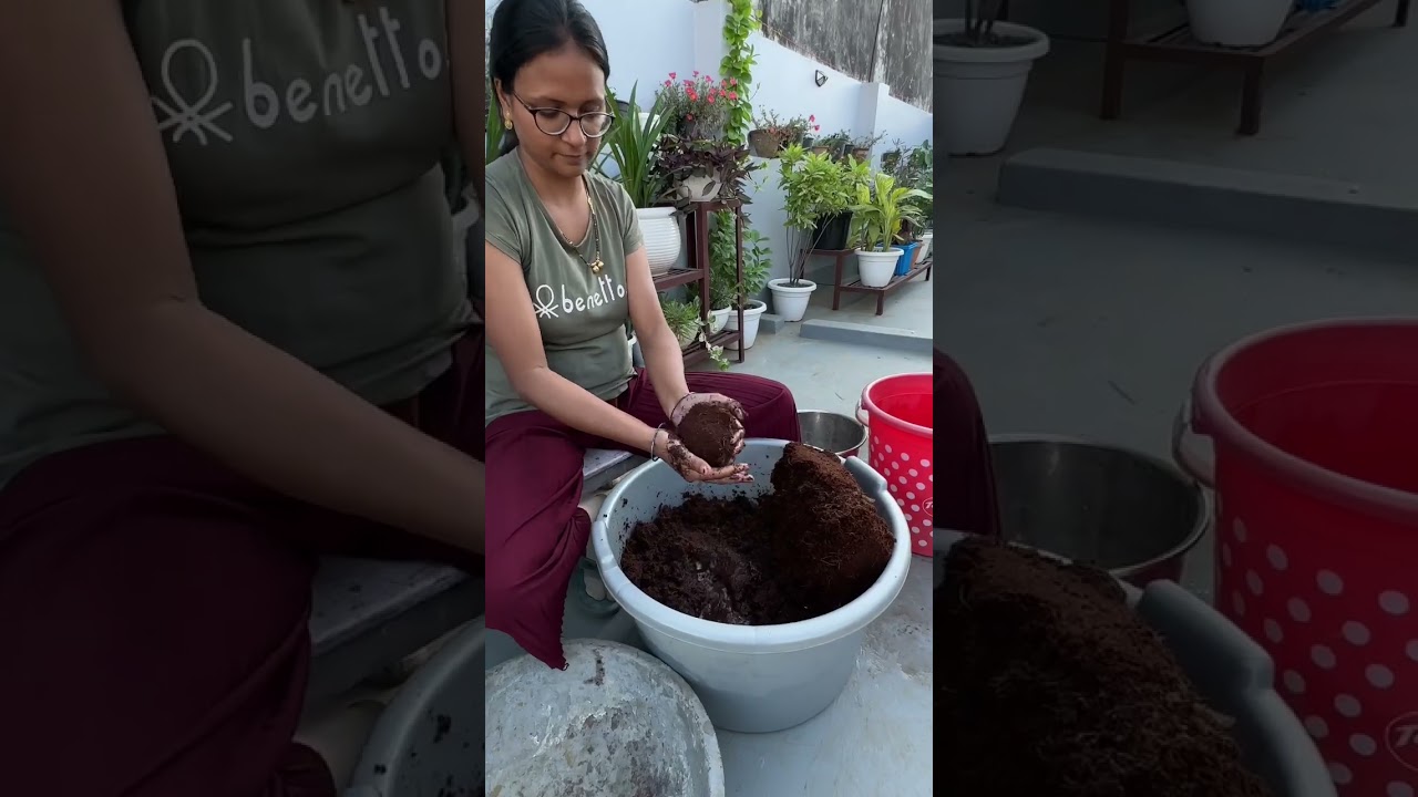 🥥🌴👉How to use Cocopeat in right way ! #gardening  #cocopeat #organicgardening #shorts