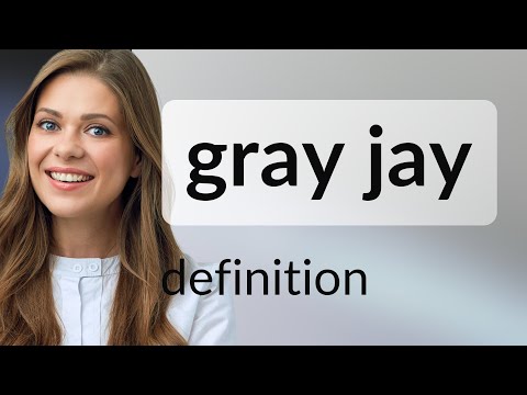 Gray jay | GRAY JAY definition