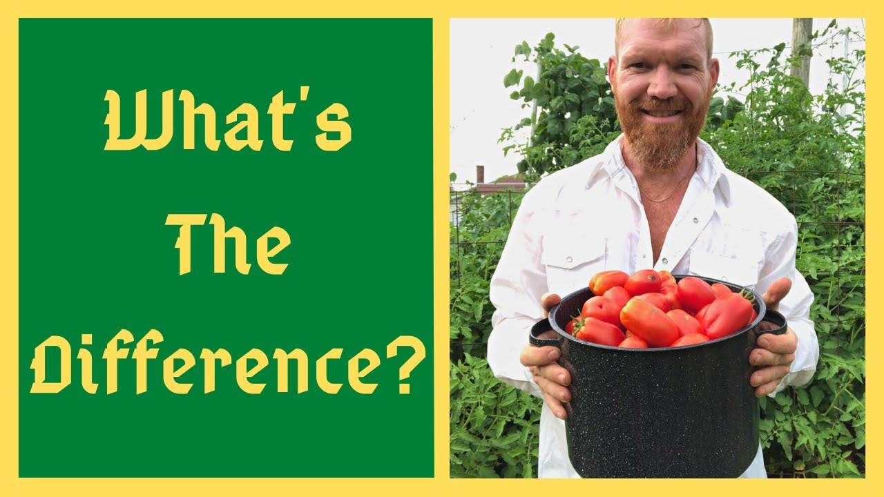 Tomatoes: Determinate vs. Indeterminate - What's The Difference And Which Is Best For Me?